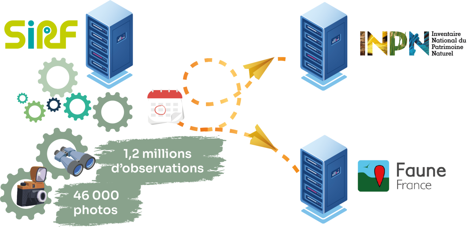 SiRF – Groupe ornithologique et naturaliste (agrément régional Hauts-de ...