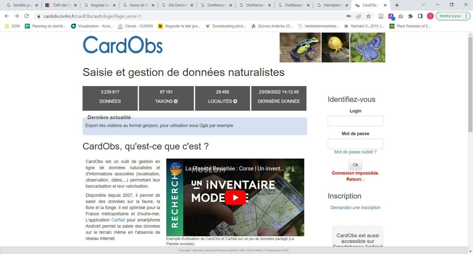 Les punaises – Groupe ornithologique et naturaliste (agrément régional Hauts-de-France)